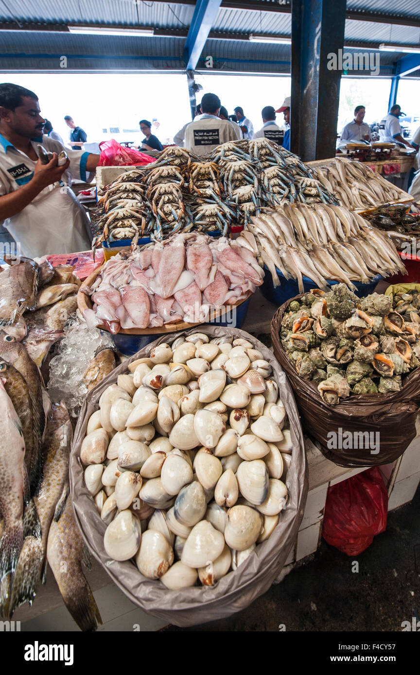 Bus Going To Fish Market Dubai at Adam Grammer blog