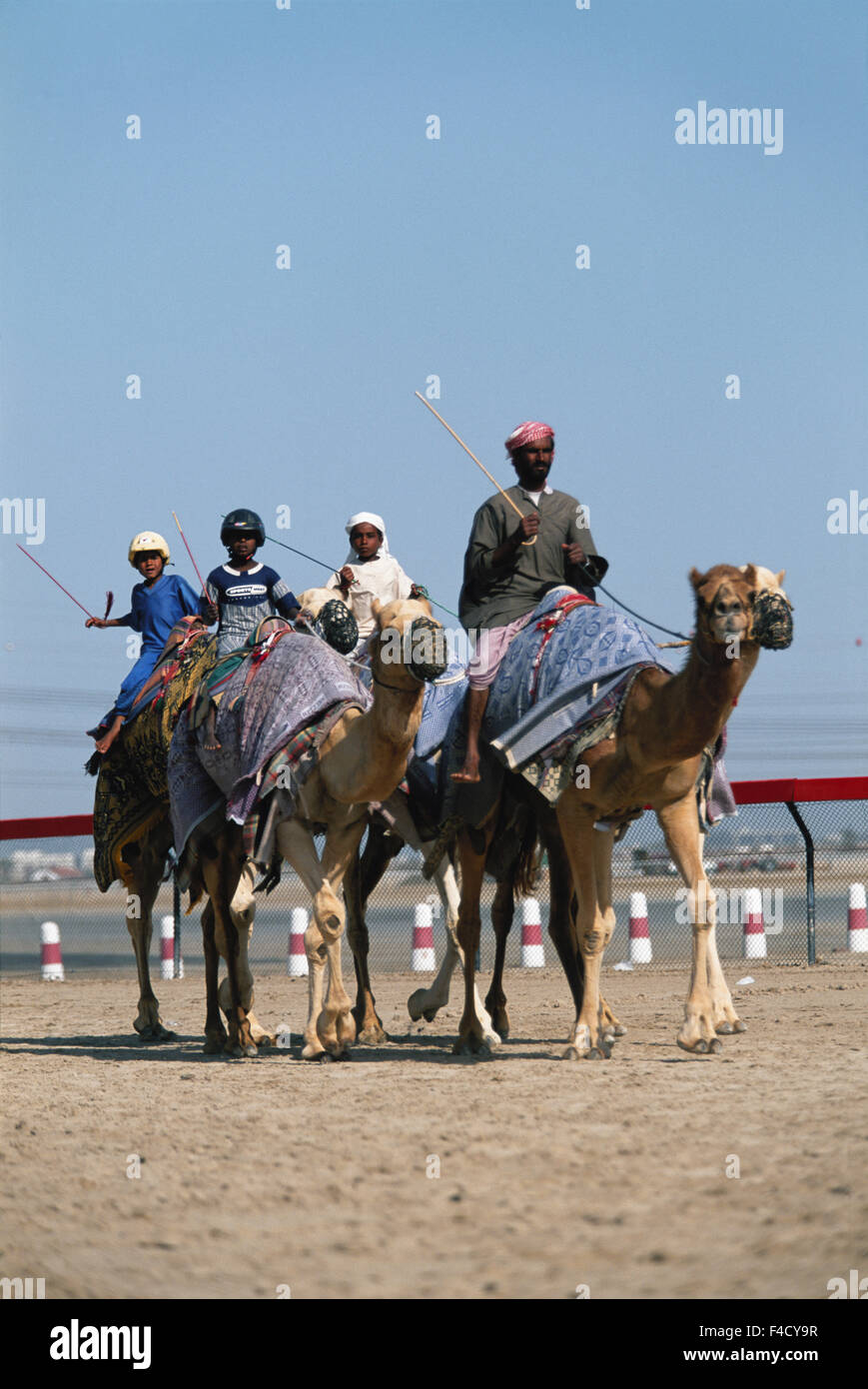 United Arab Emirates, Dubai, Camel Racing, Dubai Camel Racetrack ...