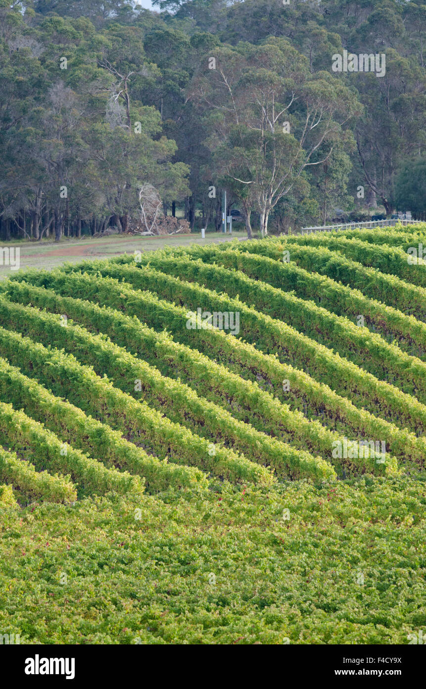 Australia, Albany, Kalgan River. Countryside winery Stock Photo - Alamy