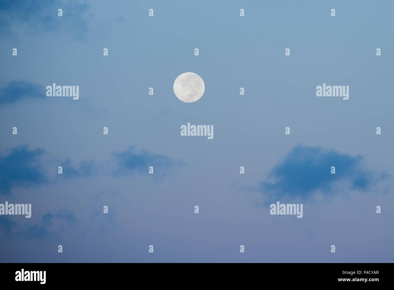 Australia, Northern Territory, Darwin. Full moon, moonrise with blue ...