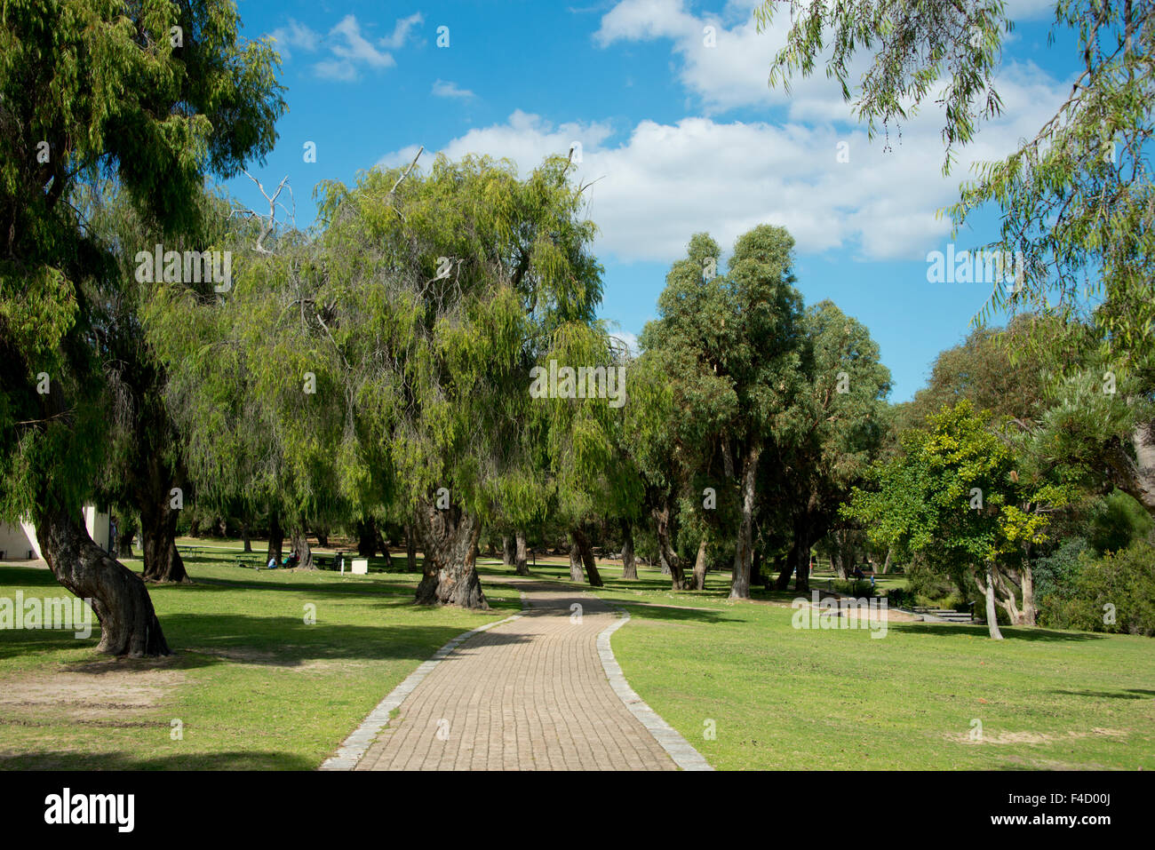 Australia, Perth, Yanchep National Park. Natural wildlife habitat along ...