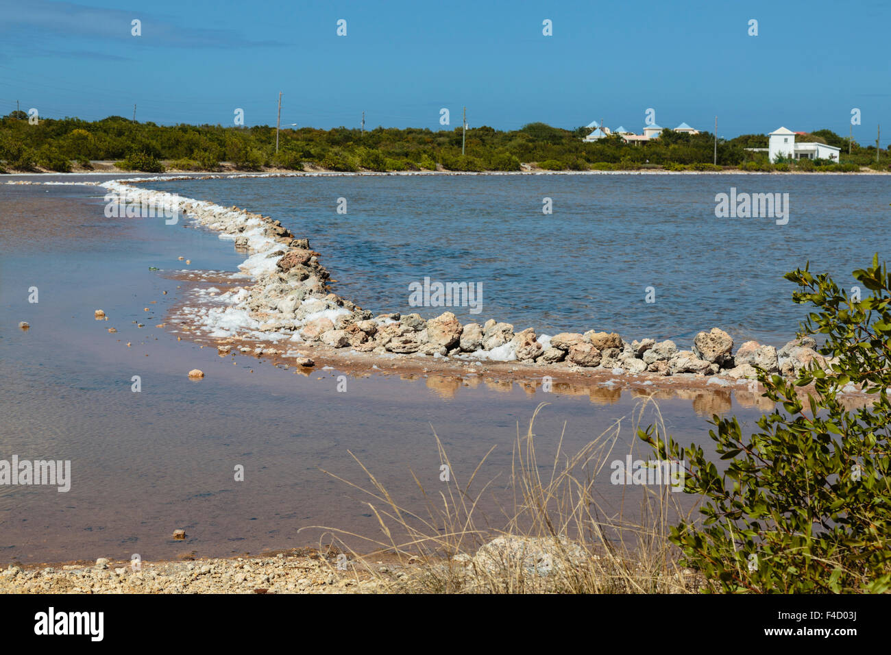 Caribbean, Anguilla. View of salt evaporation pond. Salt is one of ...