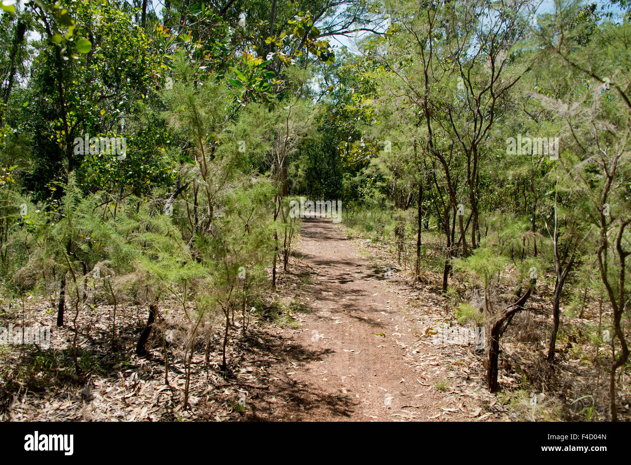 Australia, Northern Territory, Darwin. Territory Wildlife Park. Remote ...