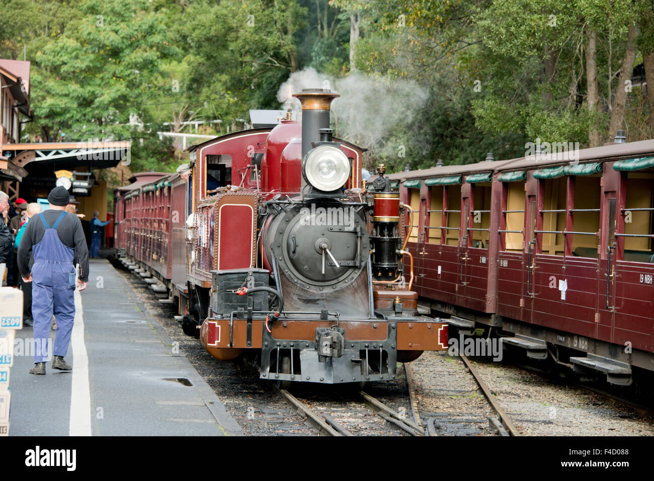 Australia, Dandenong Ranges. Puffing Billy, historic vintage steam train, circa early 1900's ...