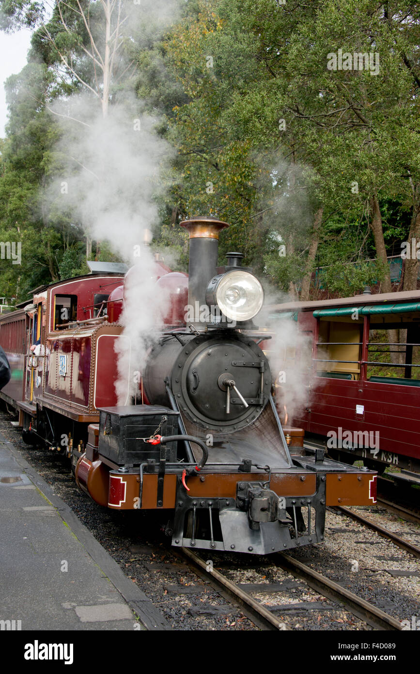 Australia, Dandenong Ranges. Puffing Billy, historic vintage steam ...