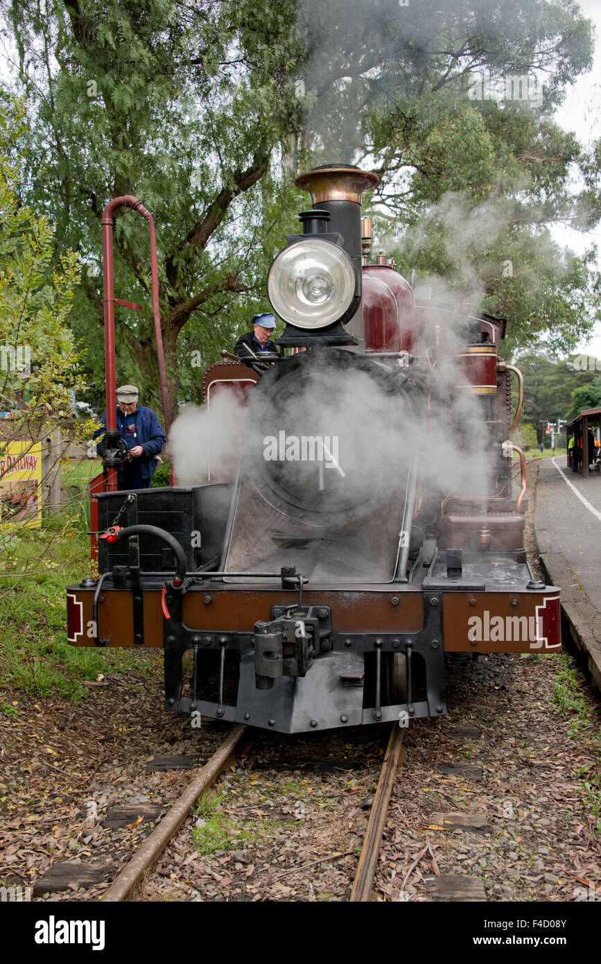 Australia, Dandenong Ranges. Puffing Billy, historic vintage steam train, circa early 1900's ...