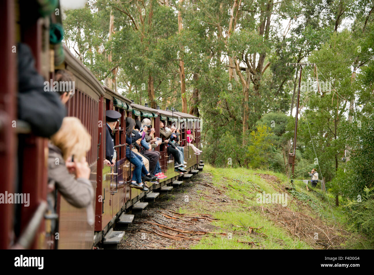 Australia, Dandenong Ranges. Puffing Billy, historic vintage steam ...