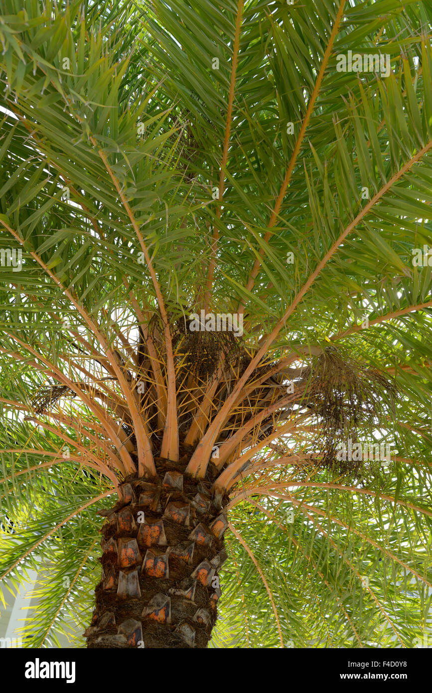 Scrub island resort hi-res stock photography and images - Alamy