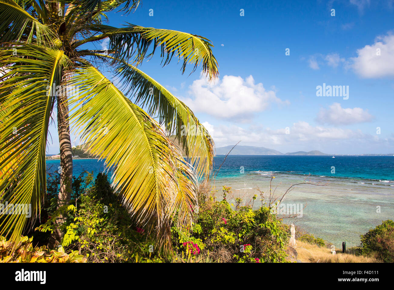 BVI, Marina Cay Small island off Great Camanoe. View from top of Cay ...