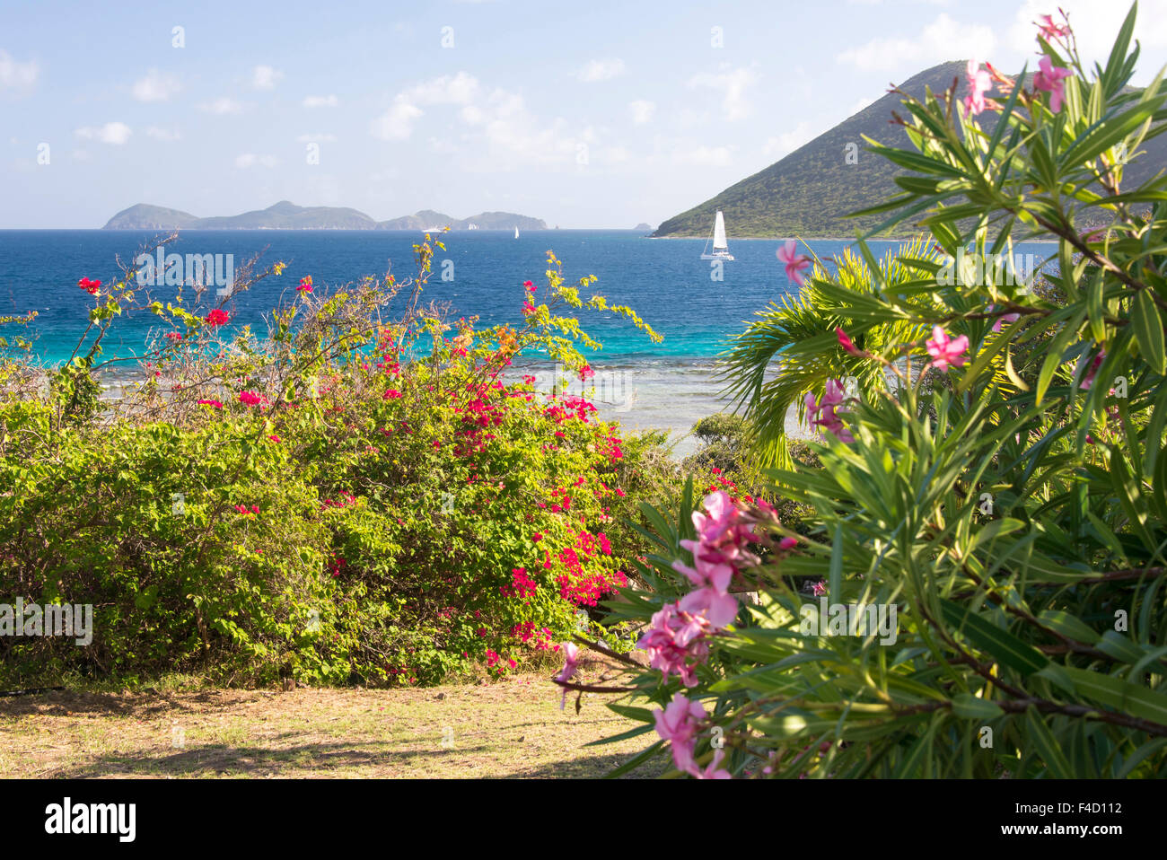 BVI, Marina Cay. Just off Great Camanoe Island. Popular moorage and ...