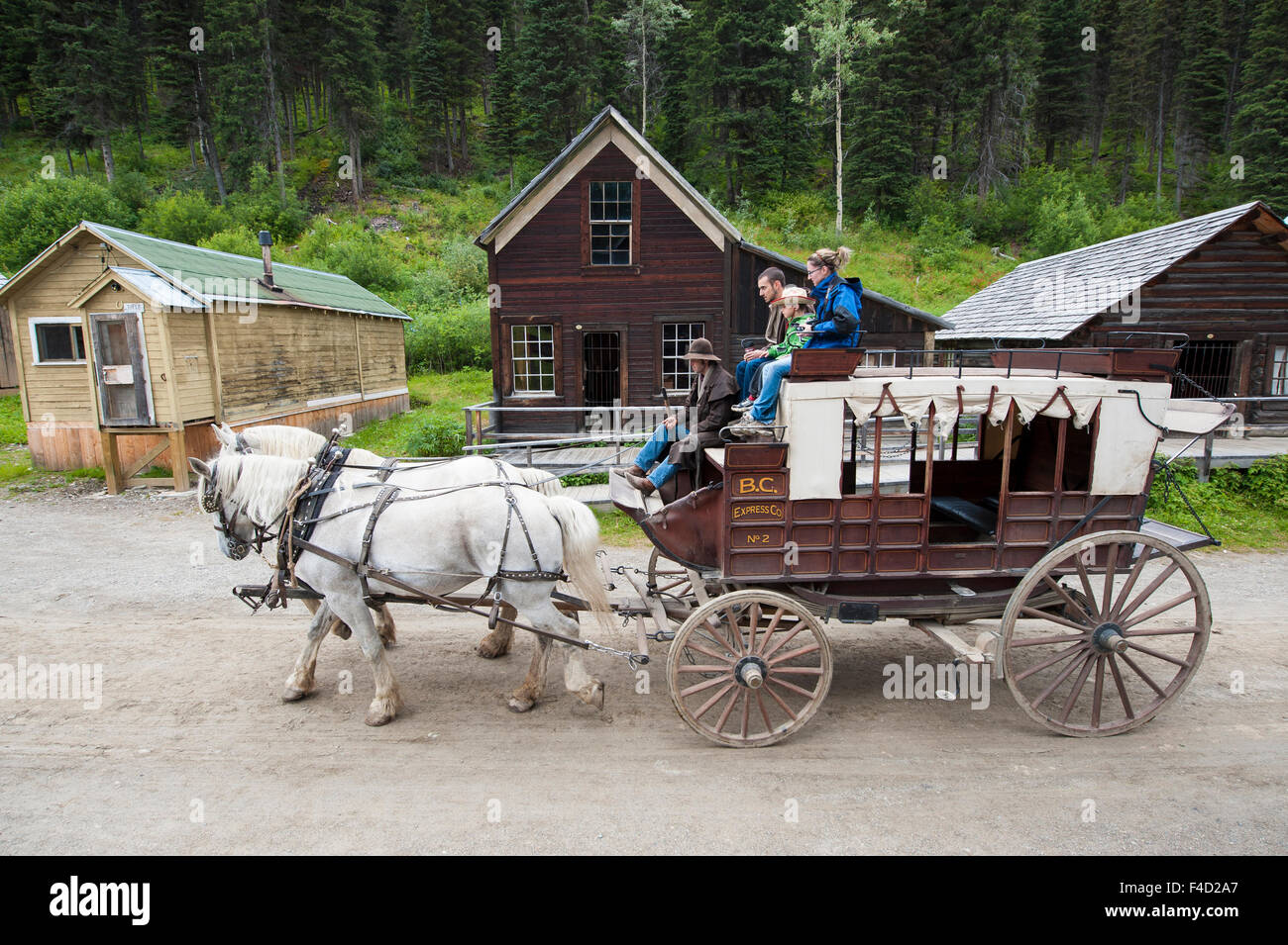 Stagecoach ride in historic gold town of Barkerville, British Columbia ...