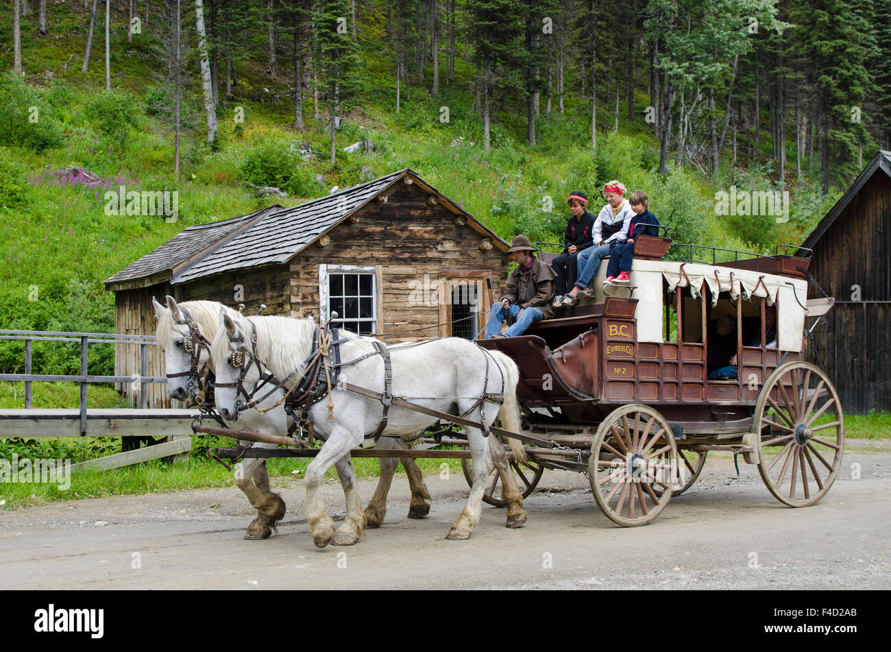 Stagecoach ride in historic gold town of Barkerville, British Columbia ...