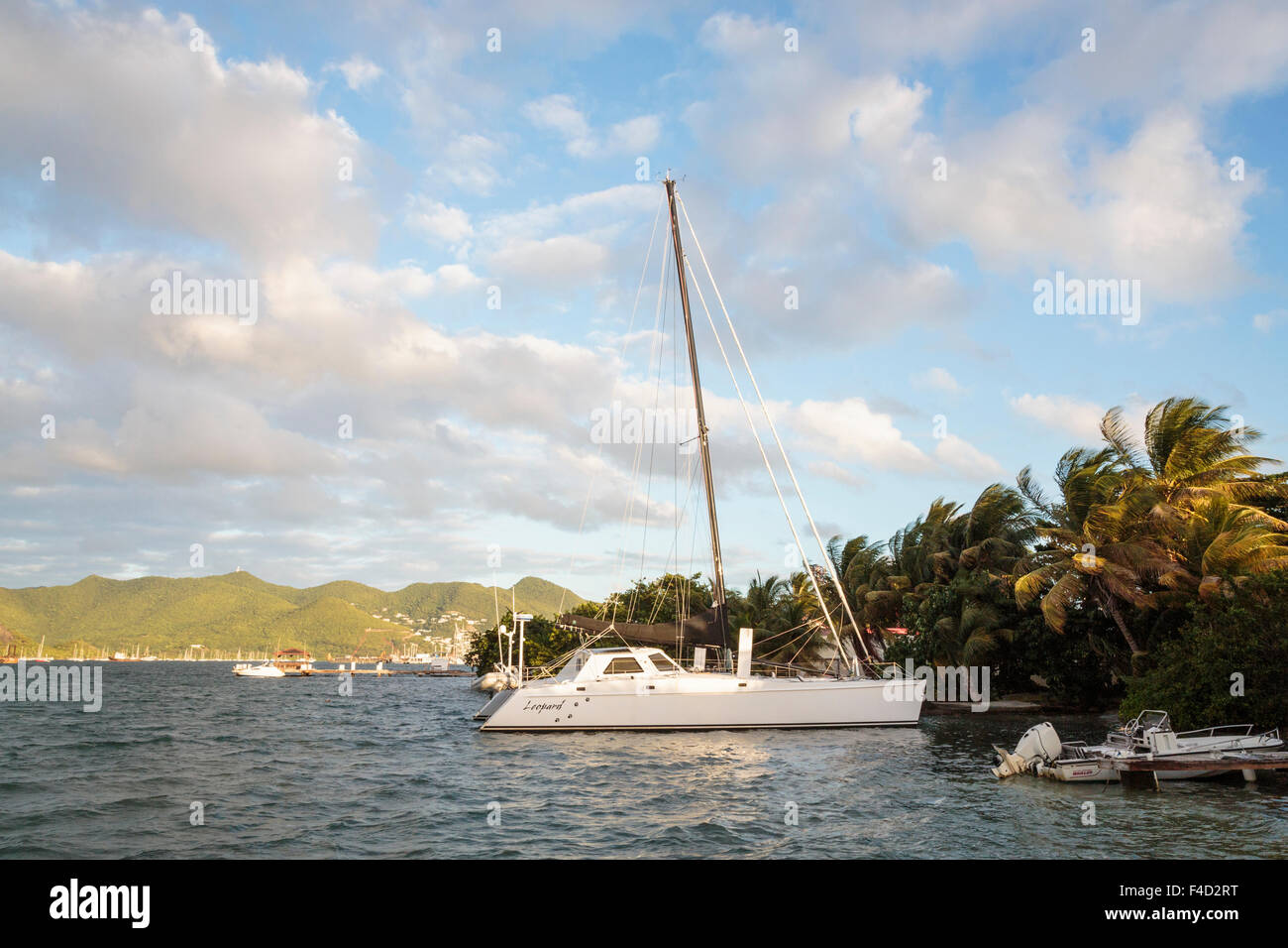 Boston whaler caribbean hi-res stock photography and images - Alamy