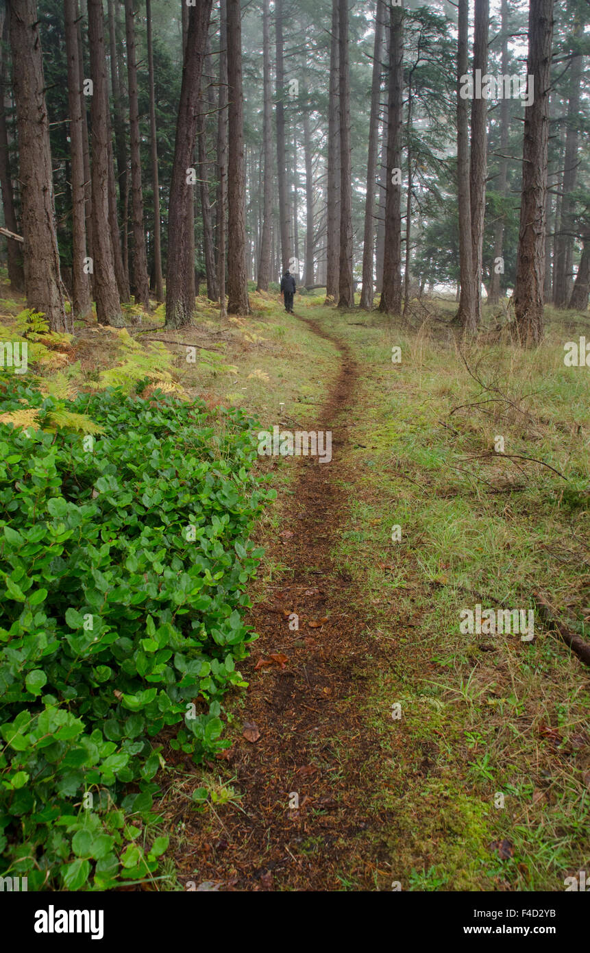 Tumbo Island, Gulf Islands National Park Reserve, British Columbia ...