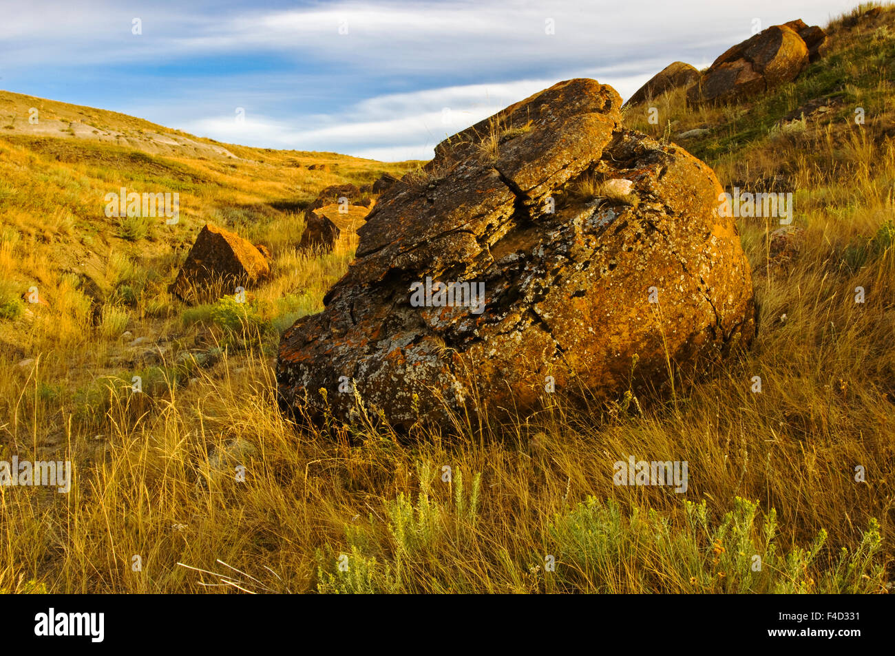 Canada, Alberta, Red Rock Coulee Natural Preserve. Limestone concretion ...