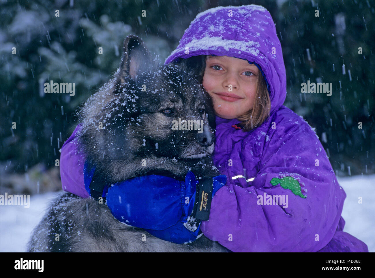 Canada, Manitoba, Winnipeg. Young girl with family Keeshond dog. Credit ...