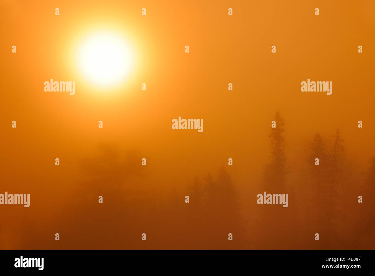 Canada, Manitoba, Whiteshell Provincial Park. Sunrise fog at Lyons Lake ...