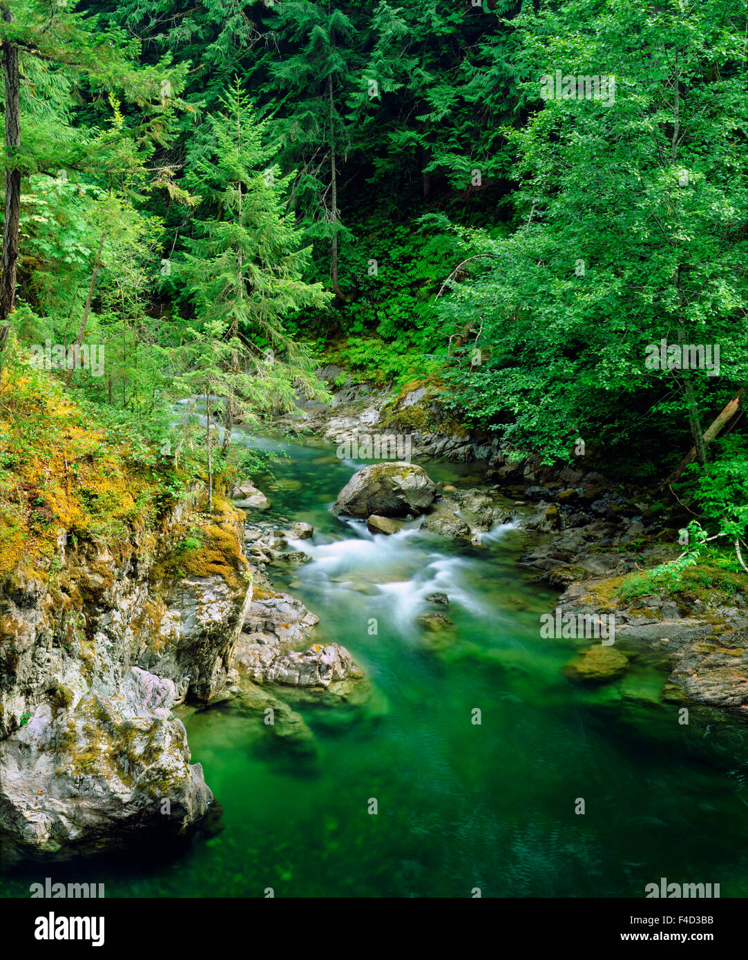 Little Qualicum River on Vancouver Island, Canada. Credit as ...