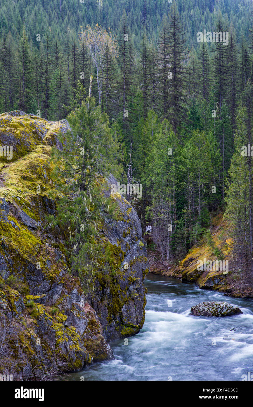 Salmo british columbia hi-res stock photography and images - Alamy