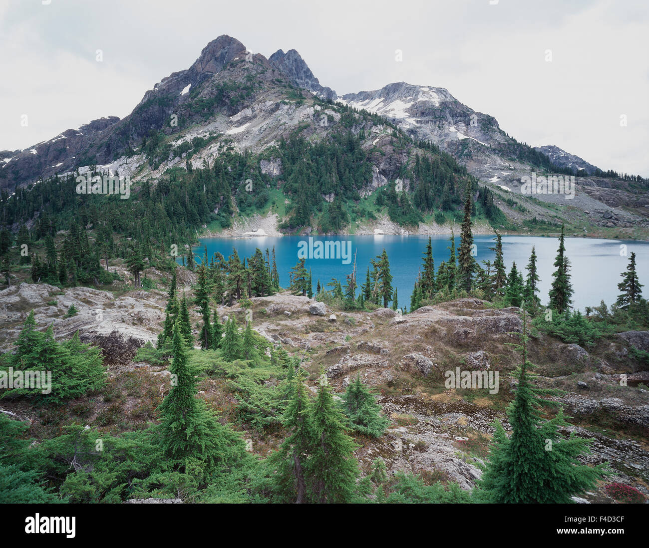 Vancouver Island, Strathcona Provincial Park, Glacier feed Cream Lake ...