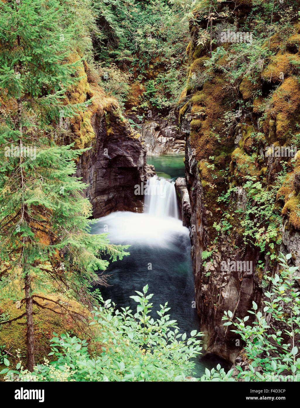 Vancouver Island, Little Qualicum Falls Provincial Park, A waterfall on ...