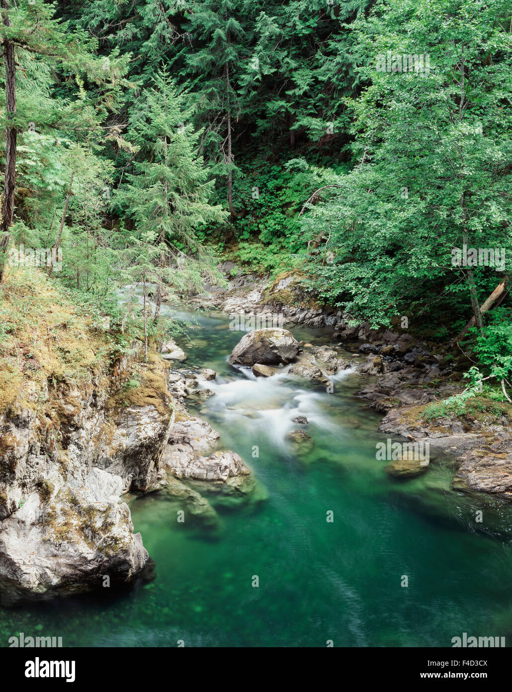 Vancouver Island, Little Qualicum Falls Provincial Park, The Little ...