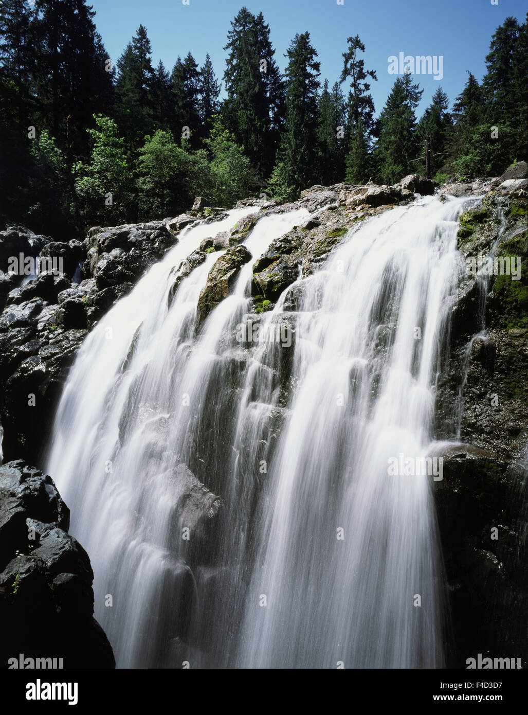 Englishman River Falls Provincial Park, Vancouver Island, Englishman ... Englishman River Falls Provincial Park, Vancouver Island, Englishman ...