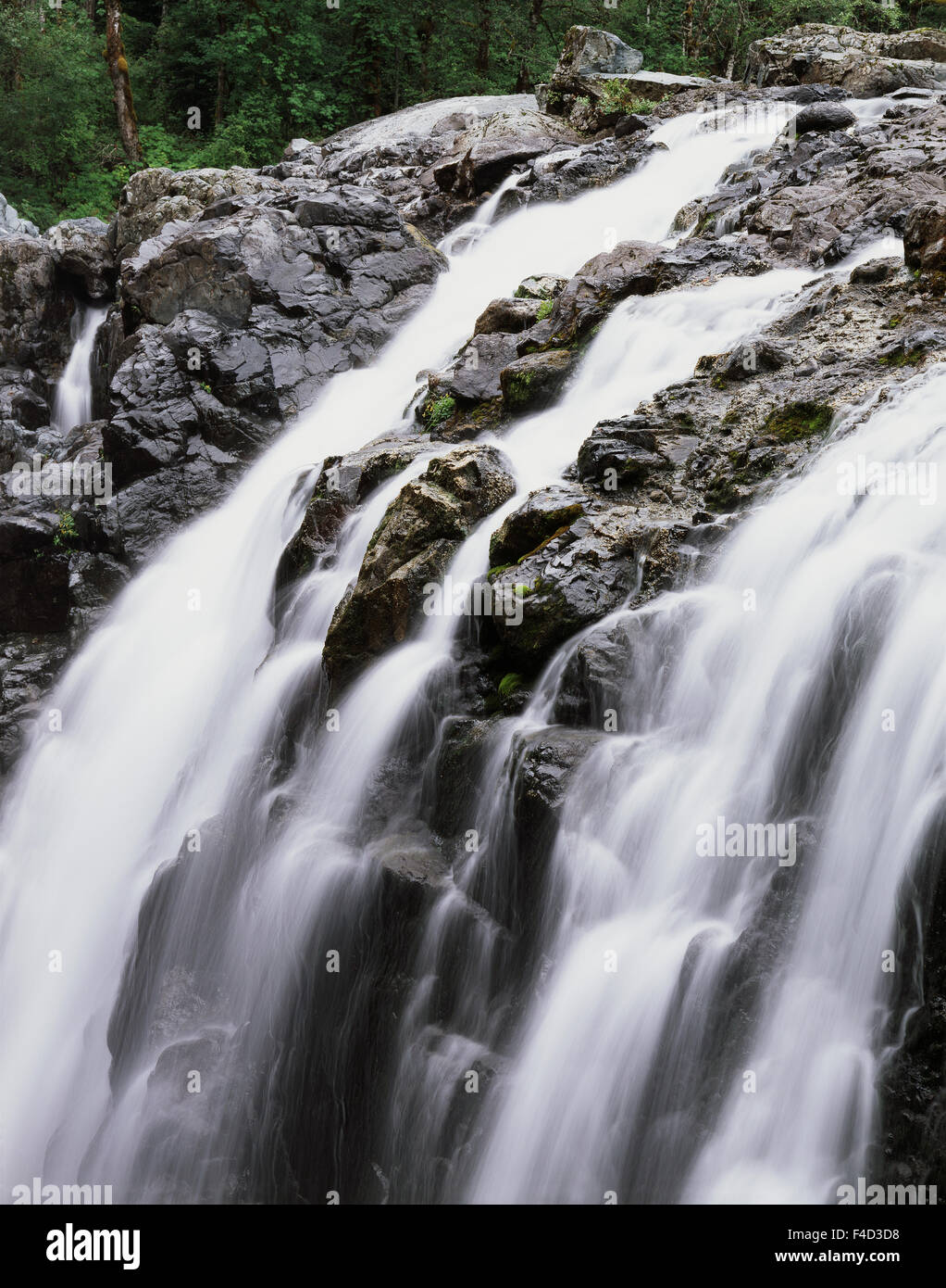 Englishman River Falls Provincial Park, Vancouver Island, Englishman ...