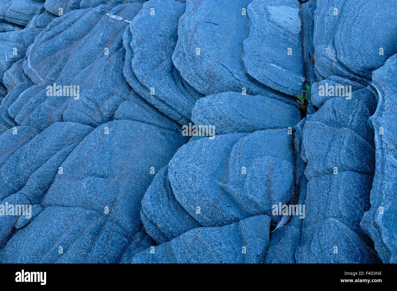 Canada, Ontario, Killbear Provincial Park. Precambrian Shield rocks in ...