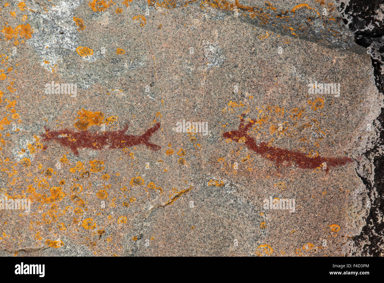 North America, Canada, Ontario, Lake Superior Provincial Park, Agawa ...