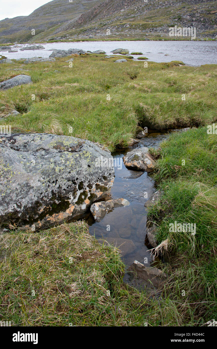 Canada, Quebec, Douglas Harbor. Clear Arctic stream surrounded by ...
