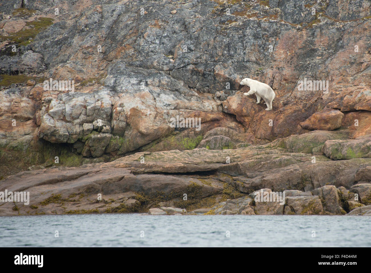 Canada, Quebec, Lower Savage between Frobisher Bay and the Hudson ...