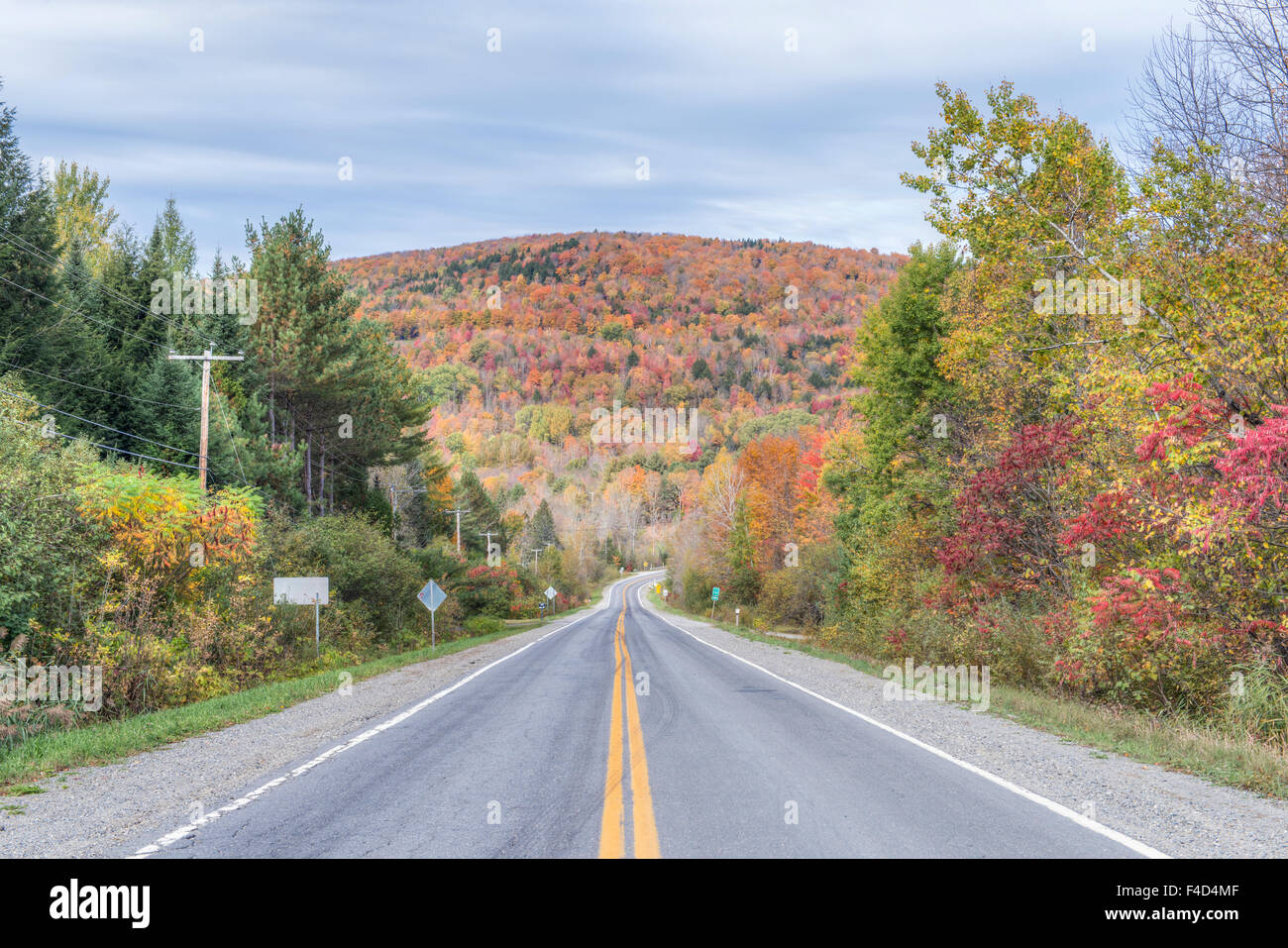 Canada, Quebec, Eastern Townships, Country Road with autumn color ...