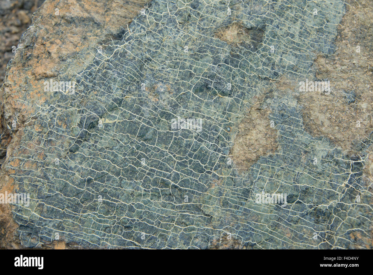 Canada, Newfoundland. Gros Morne National Park, Tablelands. Detail of ...