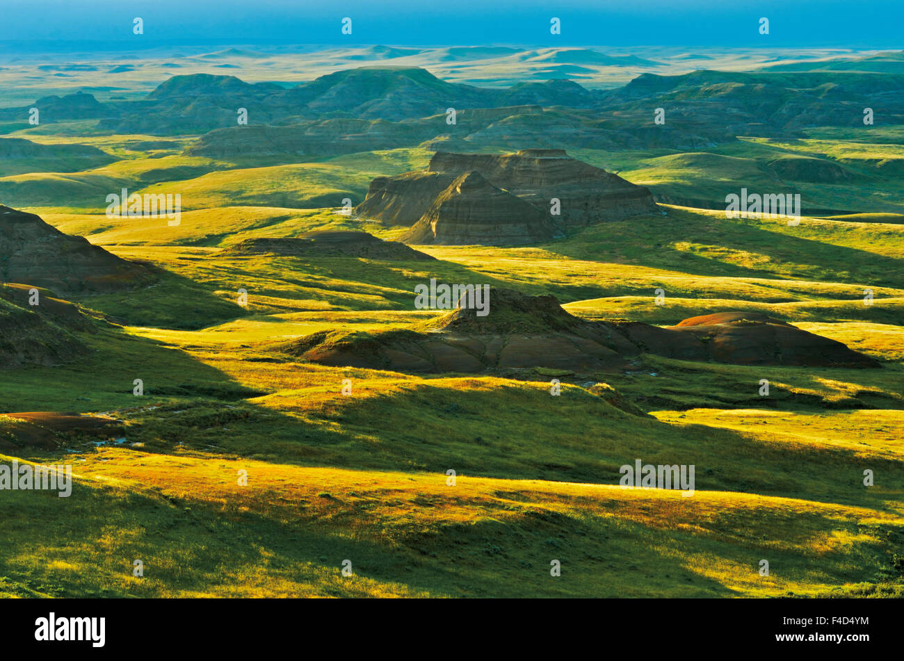 Canada, Saskatchewan, Grasslands National Park. Rolling hills of the ...