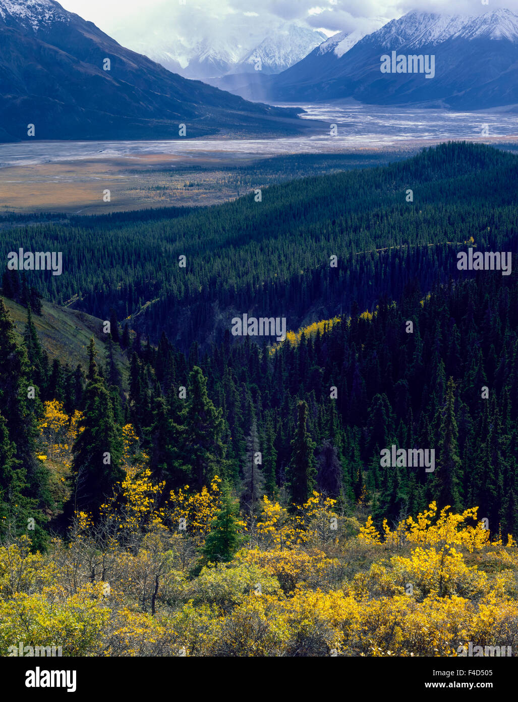 Slims River Valley in autumn, Kluane National Park, Yukon Territory ...