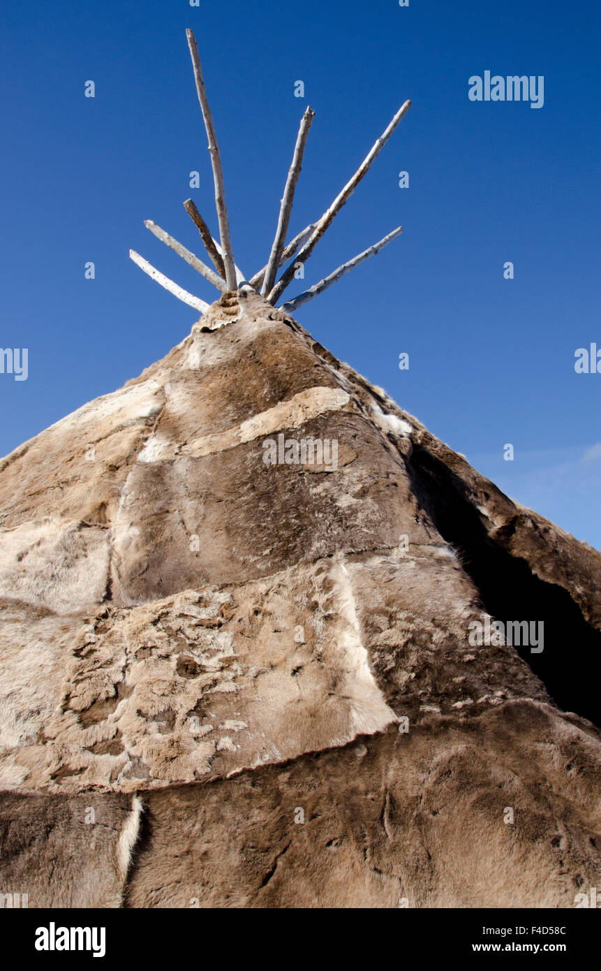 Traditional inuit tent hi-res stock photography and images - Alamy