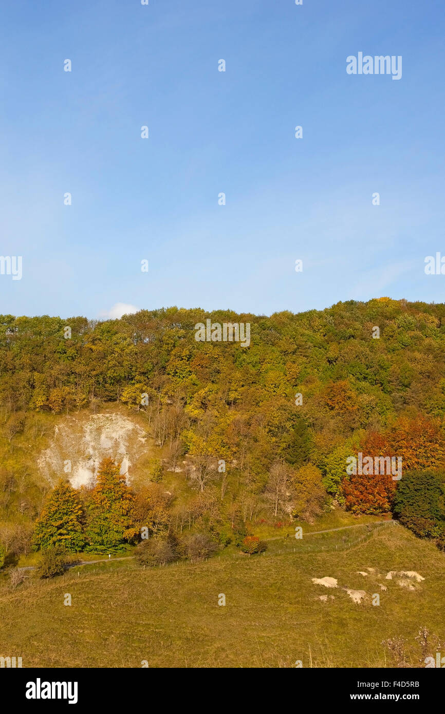 A wooded valley in Autumn with grassy meadows and colorful trees under ...