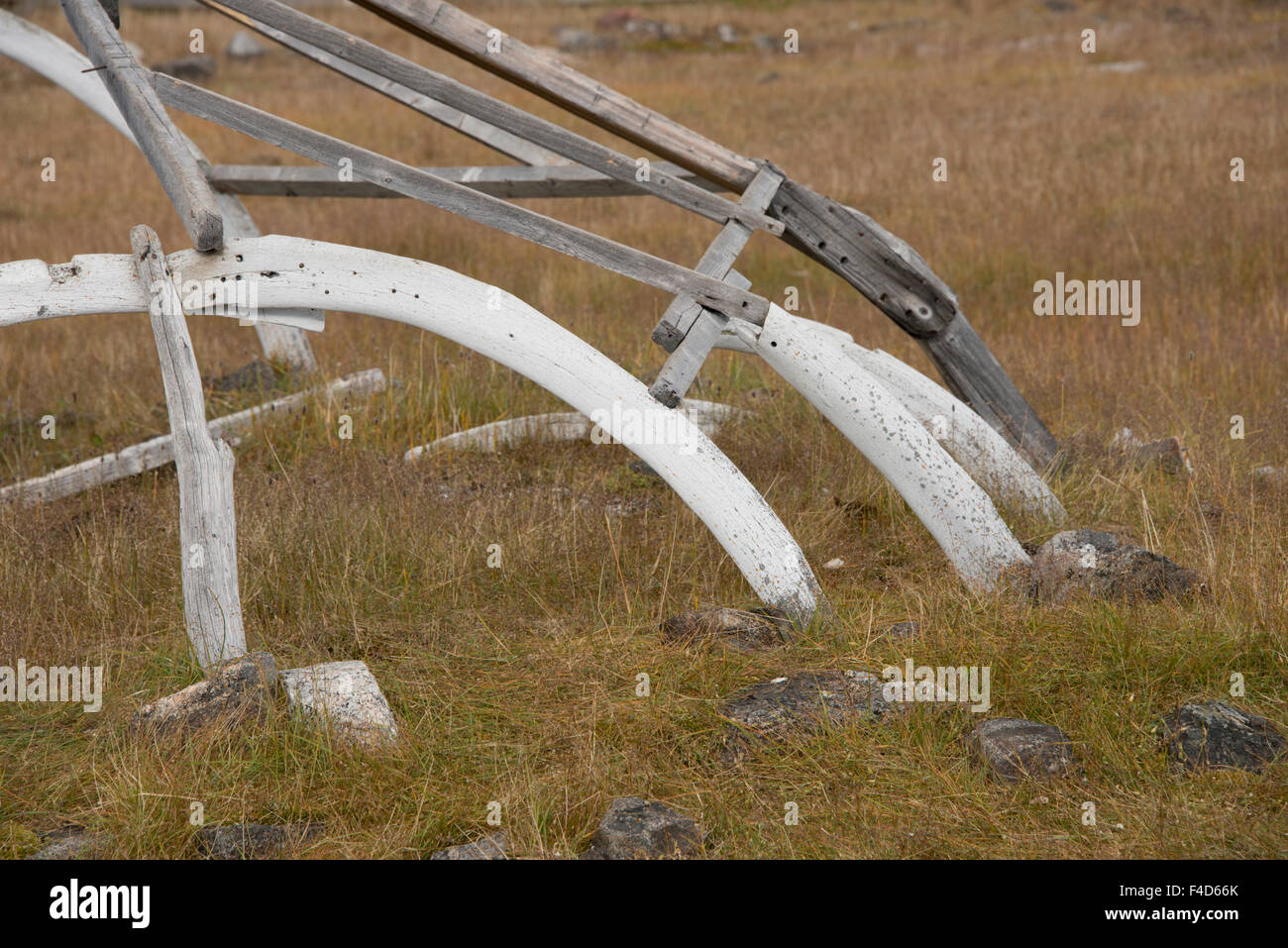 Canada, Nunavut, Kekerten Island. Kekerten Historic Park, Qammaq ...