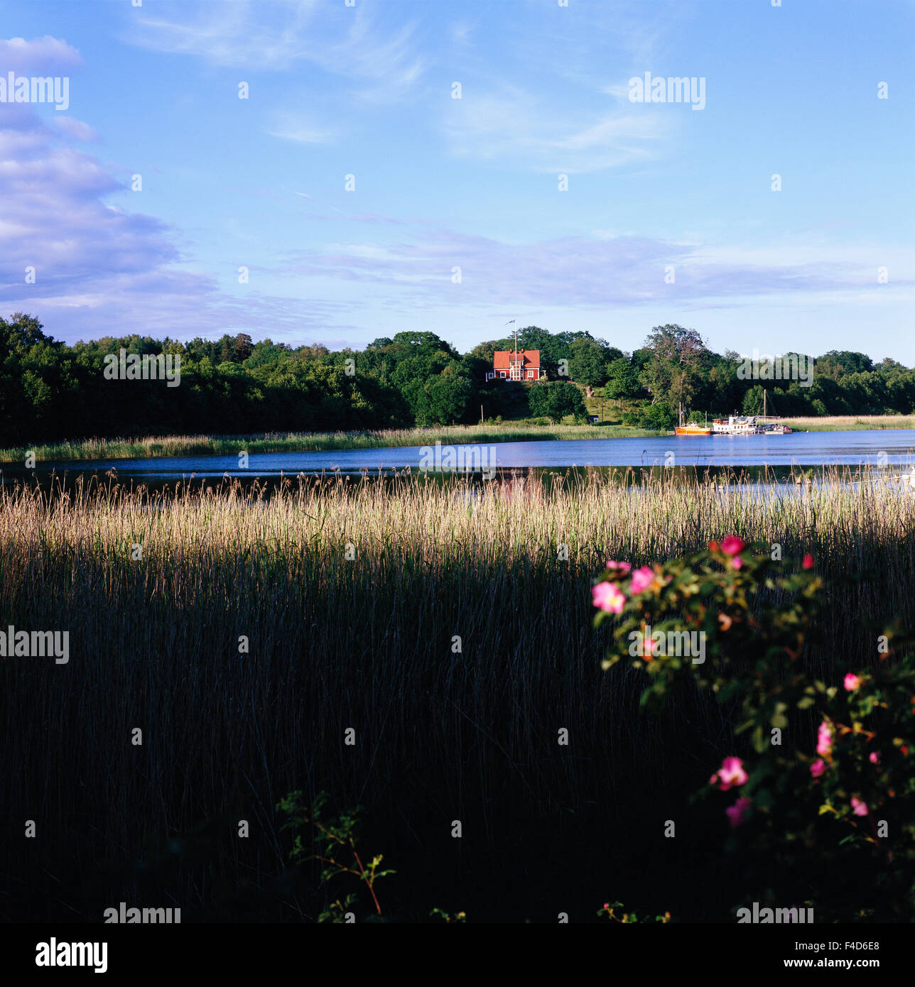 Red house by a lake, Sweden Stock Photo - Alamy