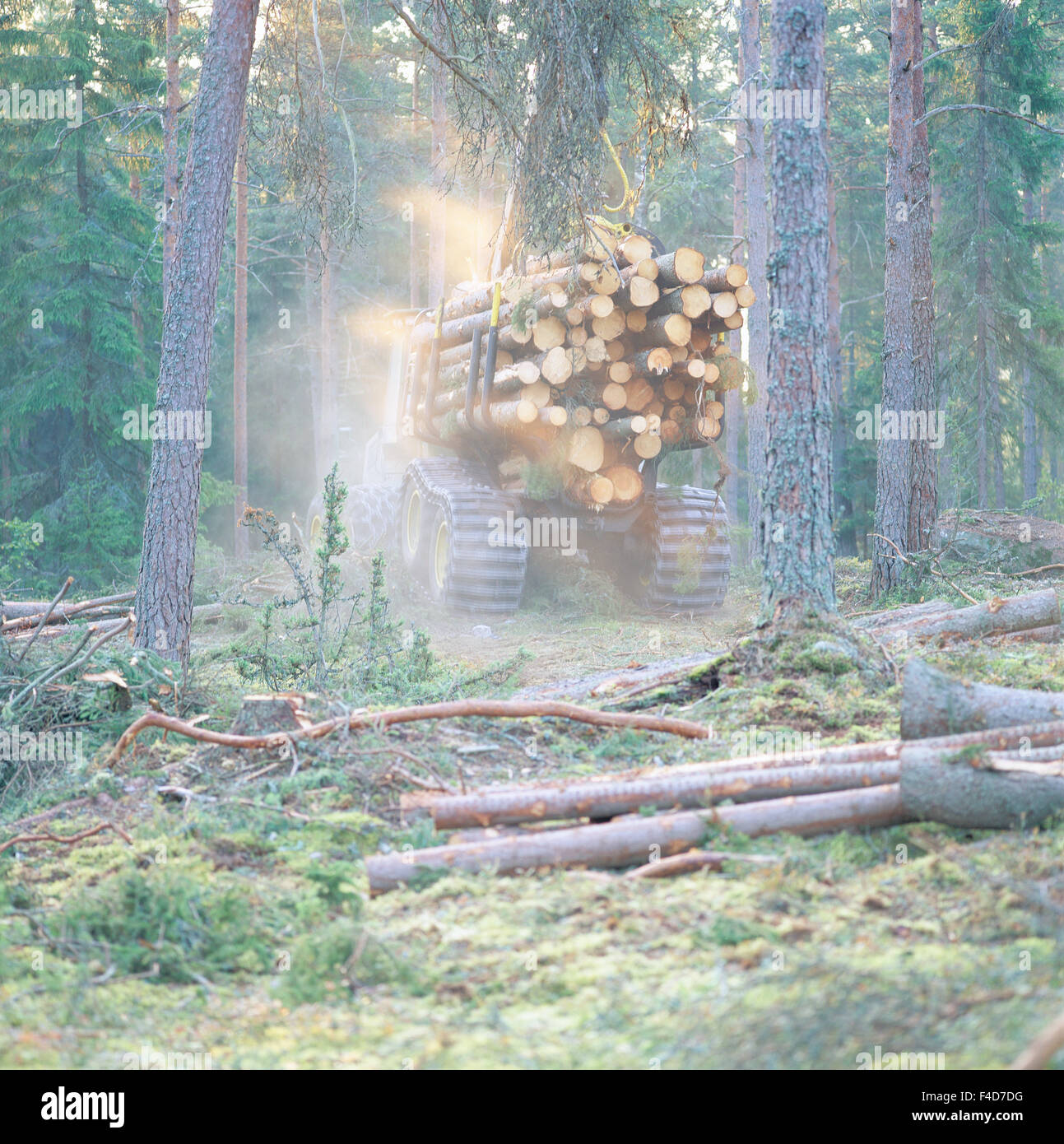 Wooden logs loaded on heavy vehicle Stock Photo - Alamy