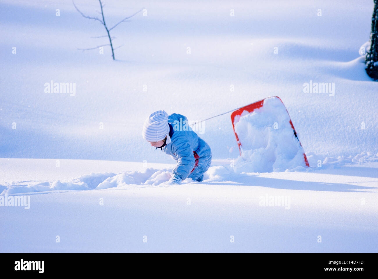 A child pulling sledge through snow covered land, side view Stock Photo ...