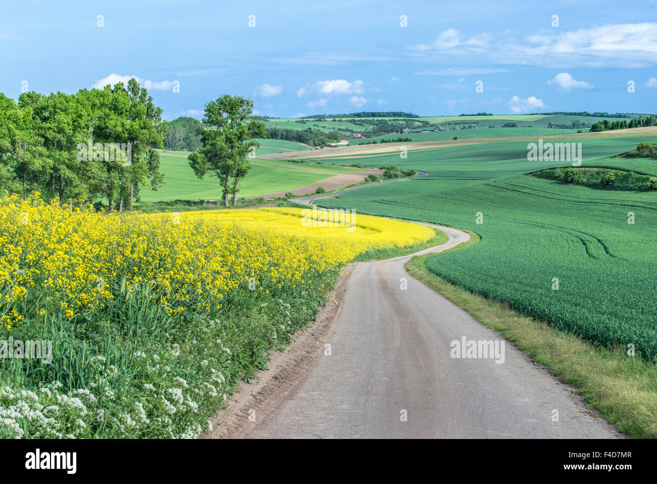 Czech Republic, Moravia, Spring Farm Fields (Large format sizes ...