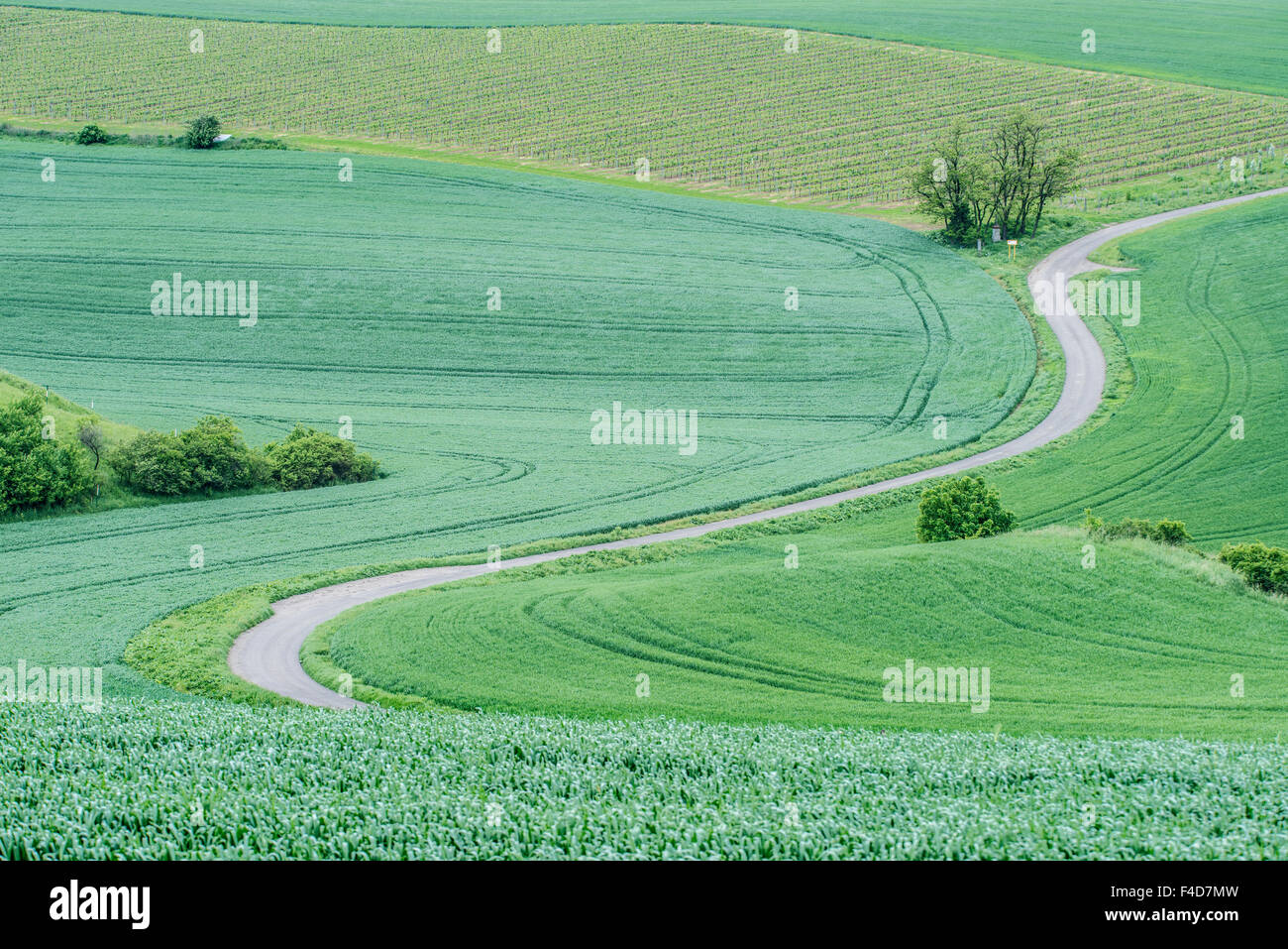 Czech Republic, Moravia, Country Road (Large format sizes available ...