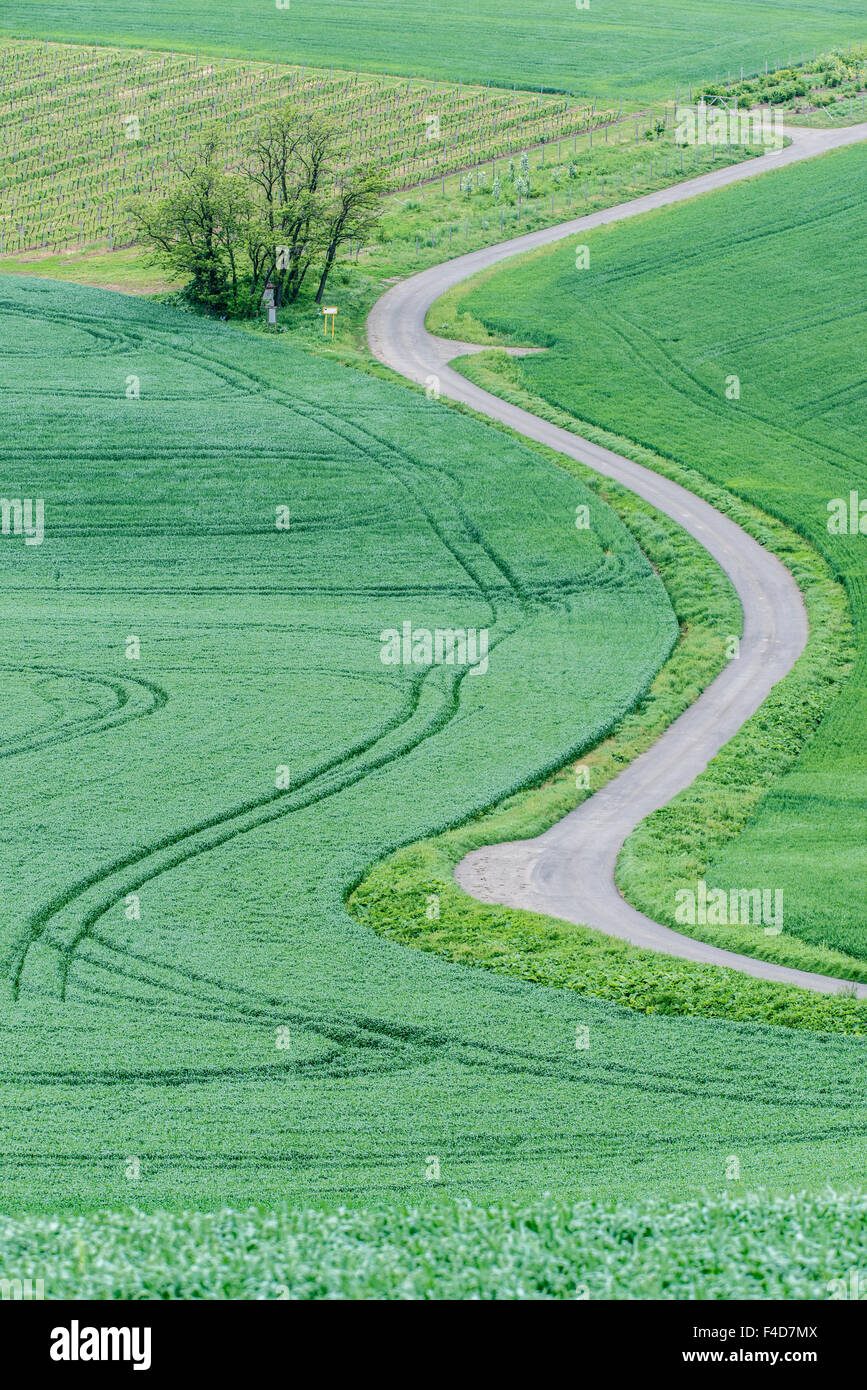 Czech Republic, Moravia, Country Road (Large format sizes available ...