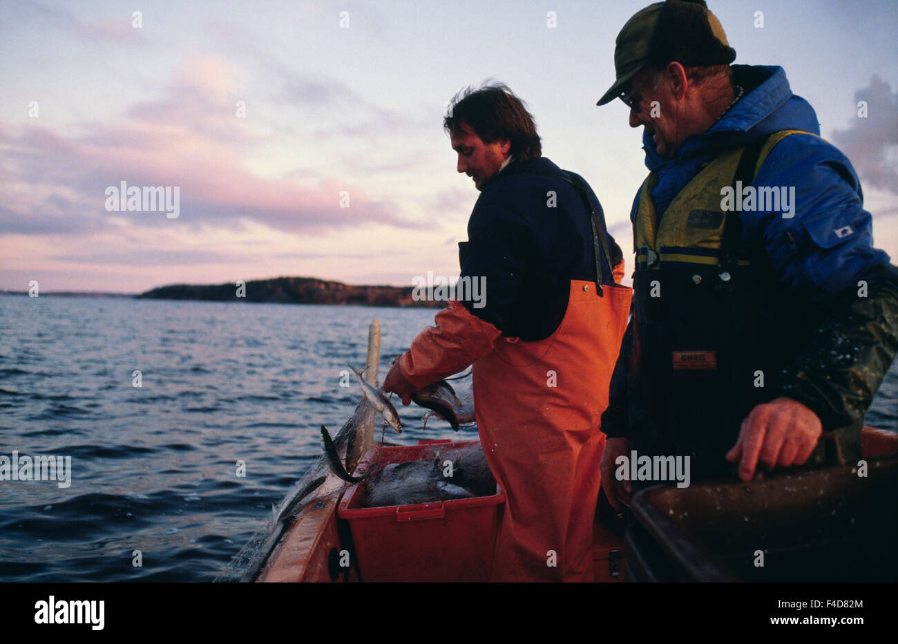 Men in basket hi-res stock photography and images - Alamy