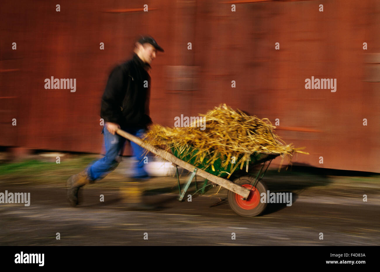 Man pushing wheel barrow hi-res stock photography and images - Alamy