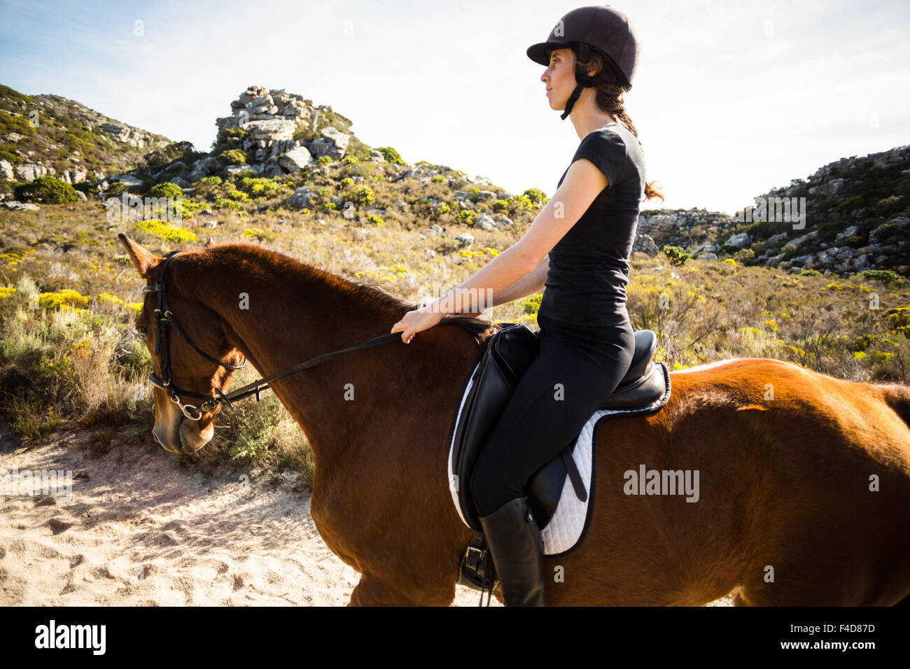 Young happy woman riding her horse Stock Photo - Alamy