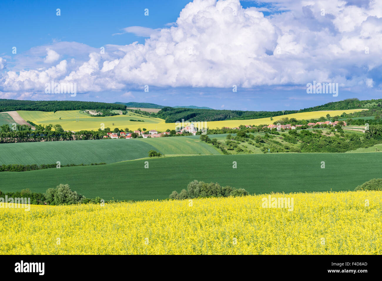 Europe, Czech Republic, Moravia, Spring Farm Fields (Large format sizes ...