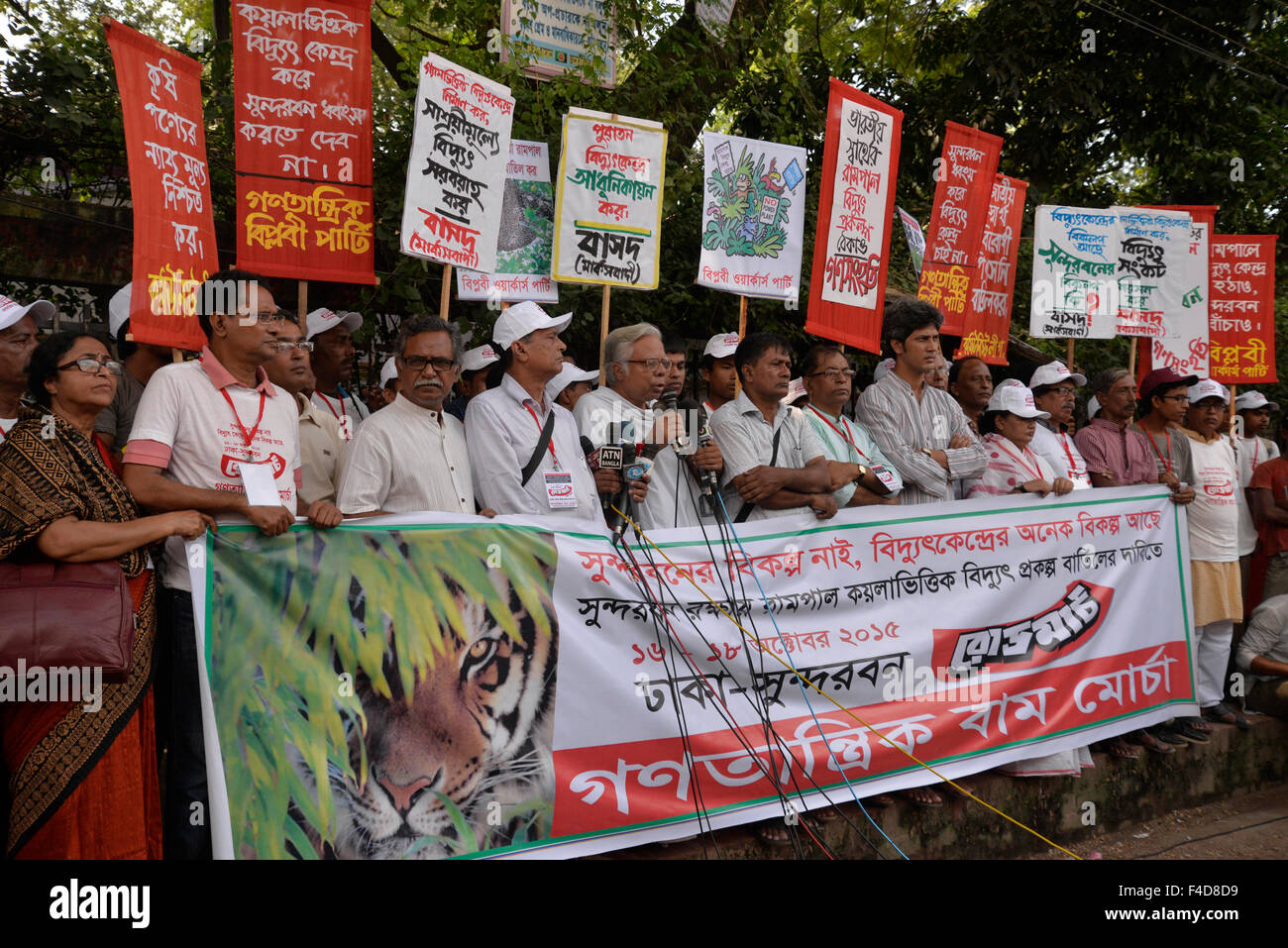 Club Mangrove High Resolution Stock Photography and Images - Alamy